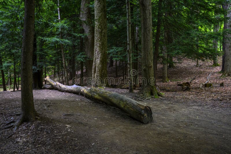 Chestnut Ridge Park Eternal Flame Falls Stock Image - Image of summer ...