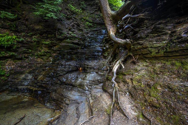 Chestnut Ridge Park Eternal Flame Falls Stock Image - Image of eternal ...