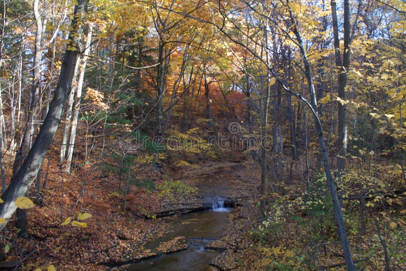 Chestnut Ridge waterfall stock photo. Image of close - 80106160