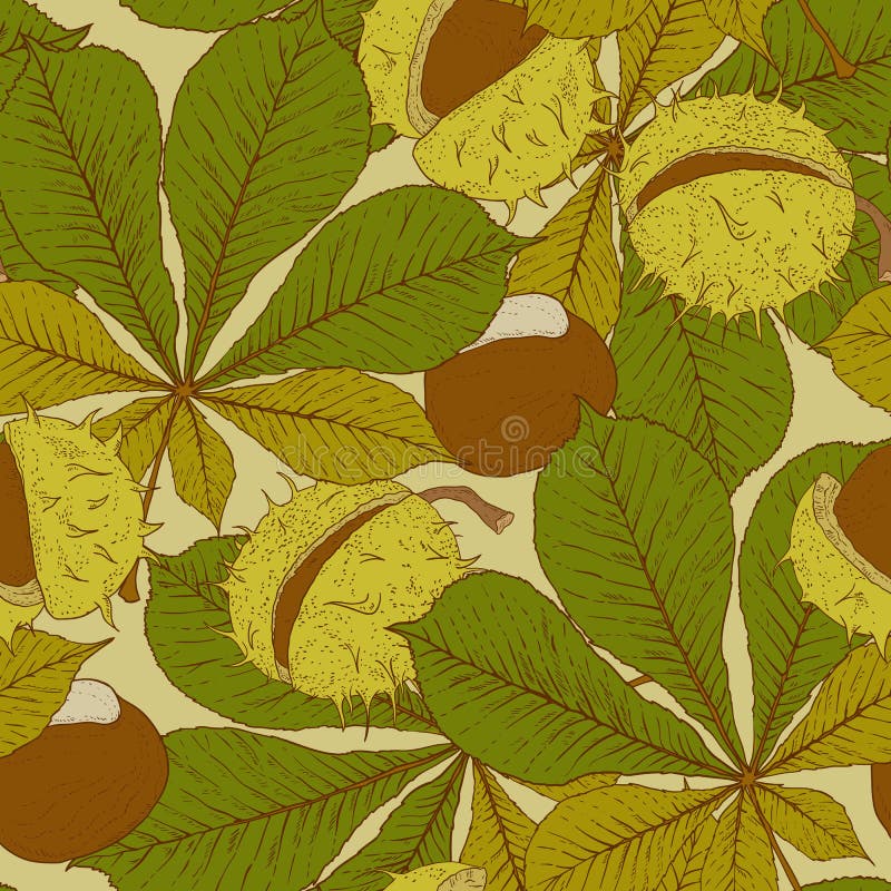 Chestnut Autumn Botanical Vector Illustration Stock Vector ...