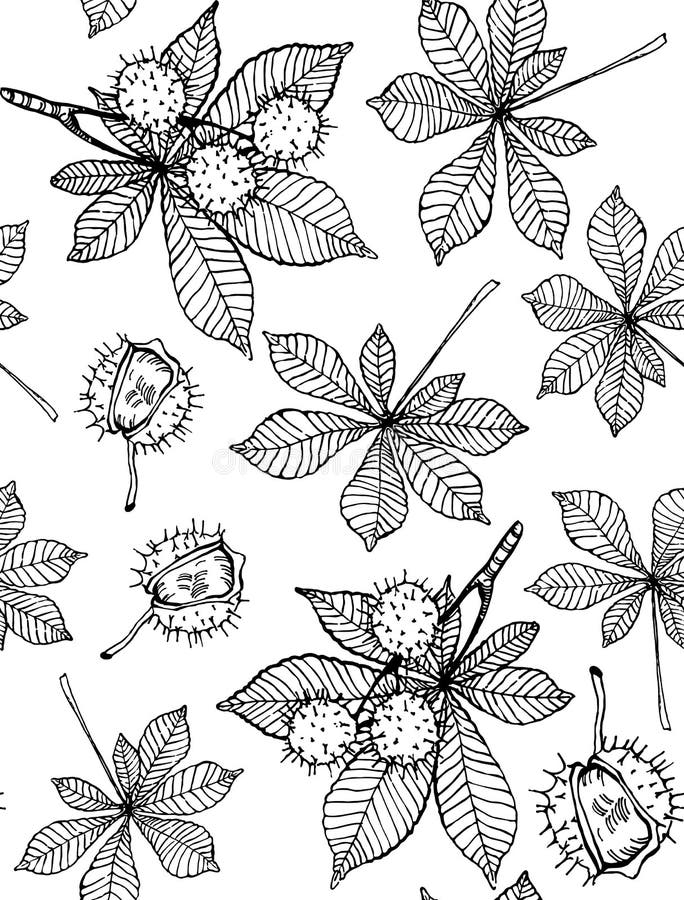 Chestnut seamless pattern stock vector. Illustration of chestnut - 31253107