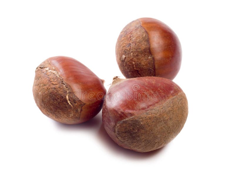 Sea shell stock image. Image of relax, peaceful, relaxation - 15752787