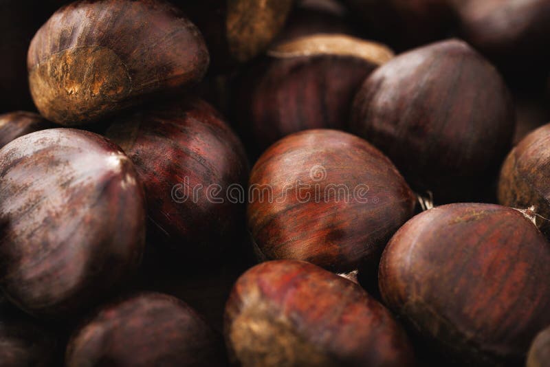 Chestnut texture macro stock image. Image of vegetarian - 27371011