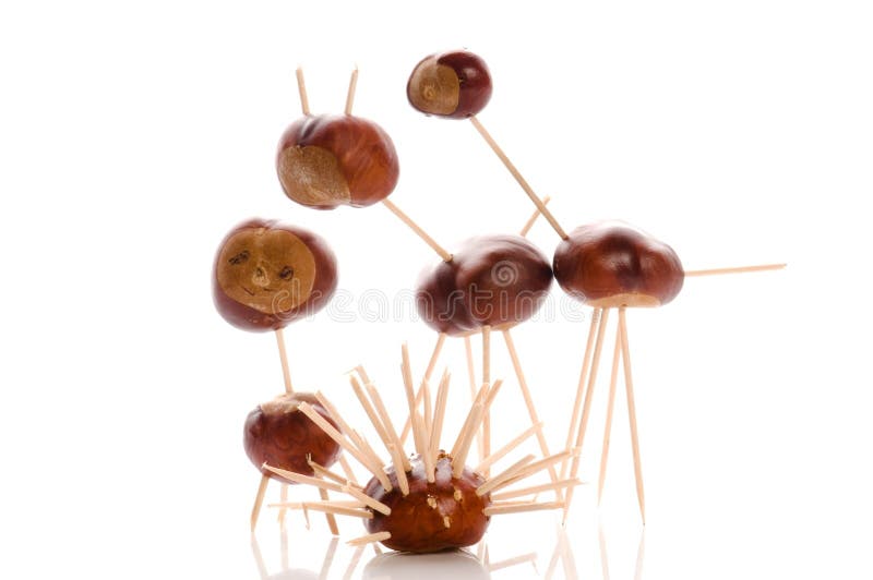 Chestnuts family. stock image. Image of affection, faithfulness - 1892047