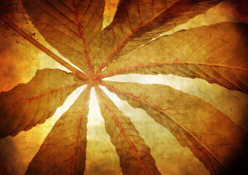 Chestnut Tree Leaf - Vintage Stylized Stock Photo - Image of patina ...