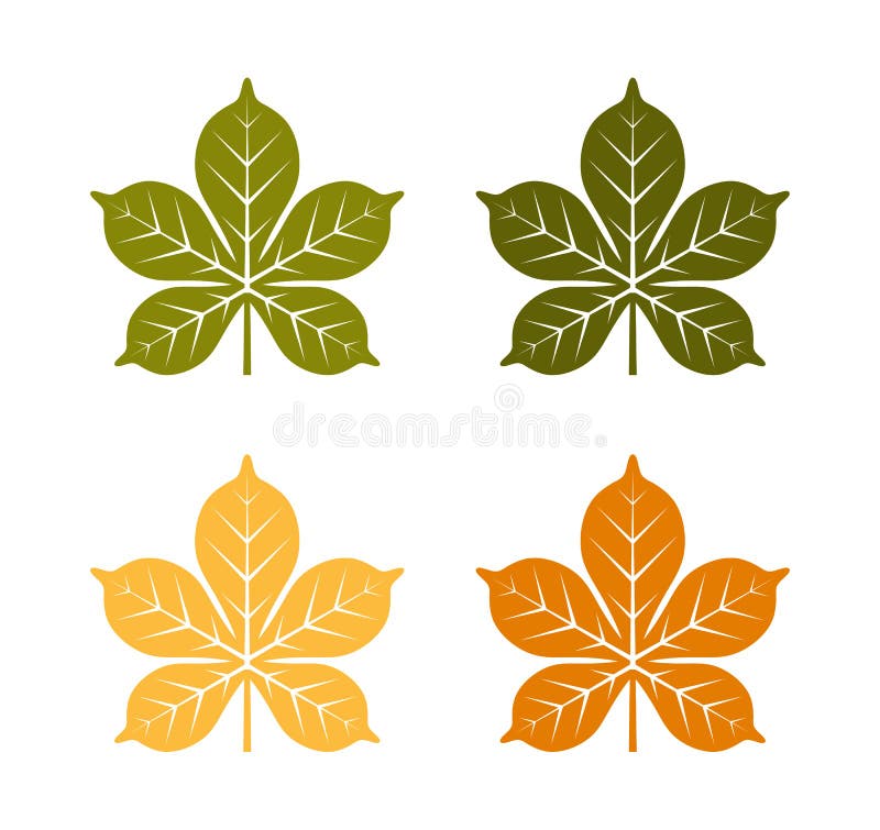 Chestnut Tree Leaves Collection Stock Vector - Illustration of symbol ...