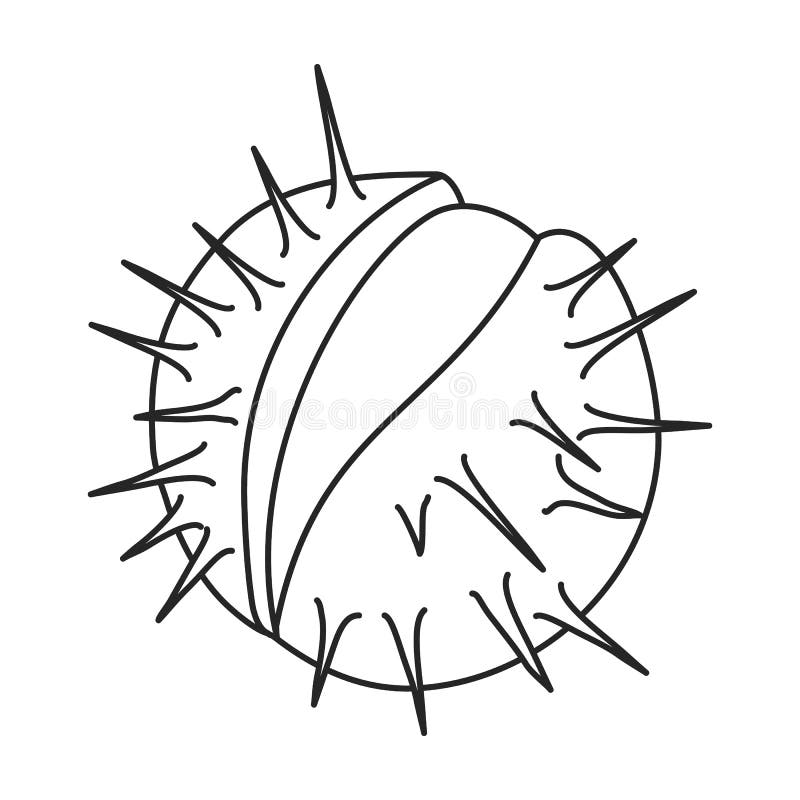 Chestnut Vector Icon.Black Vector Icon Isolated on White Background ...