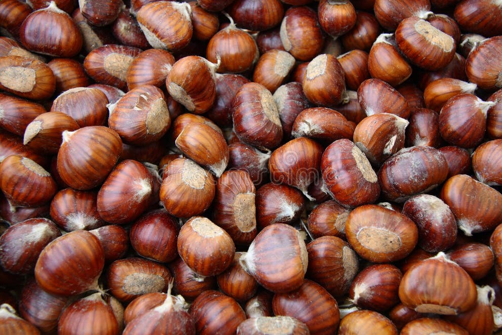 Chestnuts stock photo. Image of gift, autumnal, close - 11638264