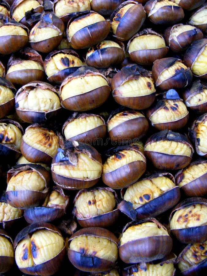 Chestnuts stock photo. Image of market, earth, peanut - 13079320