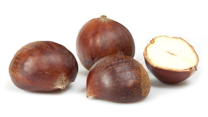 Conkers on string stock photo. Image of challenge, conquer - 10998876