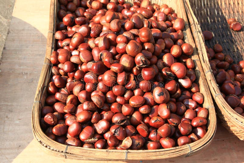 Chestnuts stock image. Image of ohio, room, glabra, chestnuts - 18347543