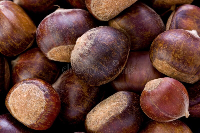 Chestnuts stock image. Image of closeup, texture, ingredient - 21282967