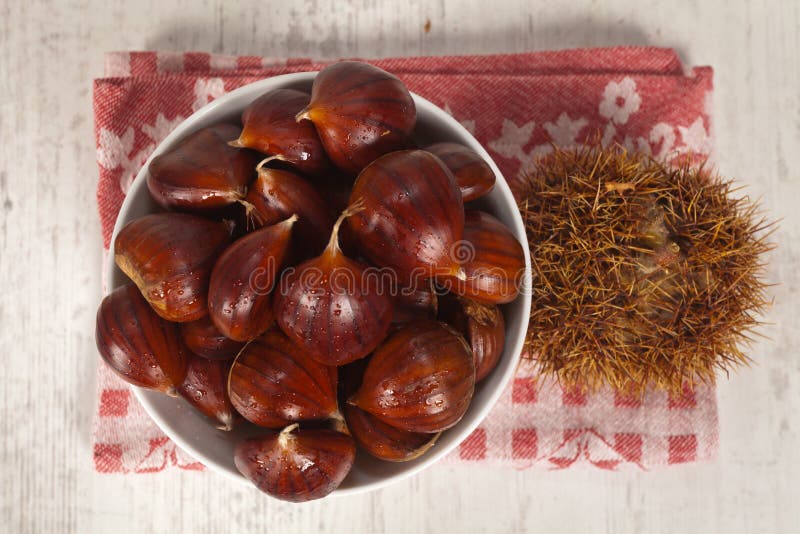 Chestnuts stock photo. Image of fruits, ingredient, fall - 21867708