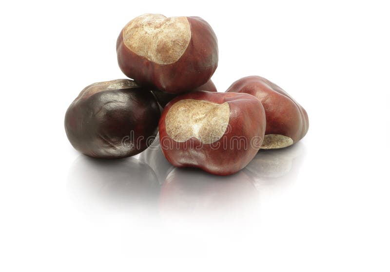 Bulk Chestnuts Stock Photos - Free & Royalty-Free Stock Photos from ...