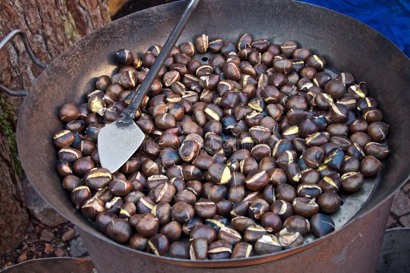 Chestnuts stock image. Image of autumn, chestnuts, vegetarian - 22515875