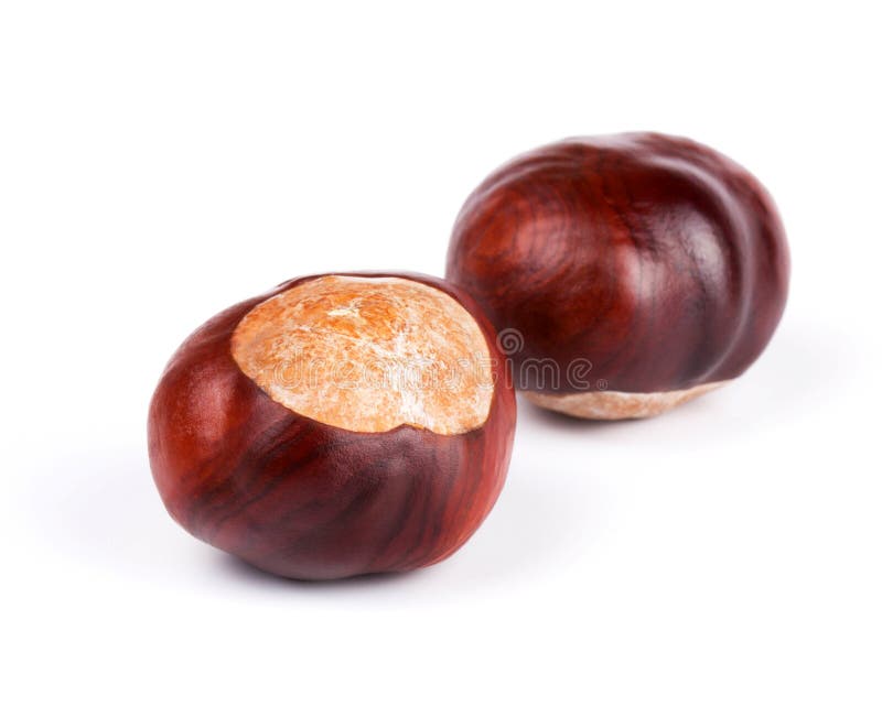 Conkers on string stock photo. Image of challenge, conquer - 10998876