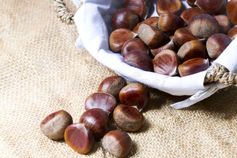 Chestnuts stock photo. Image of superfood, forest, ingredient - 26783808