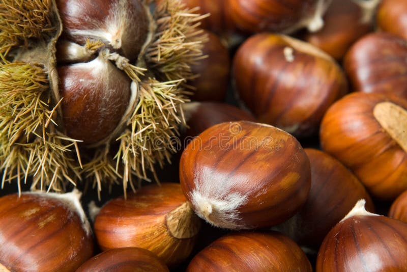 Marron glace vertical stock photo. Image of golden, chestnut - 17428954