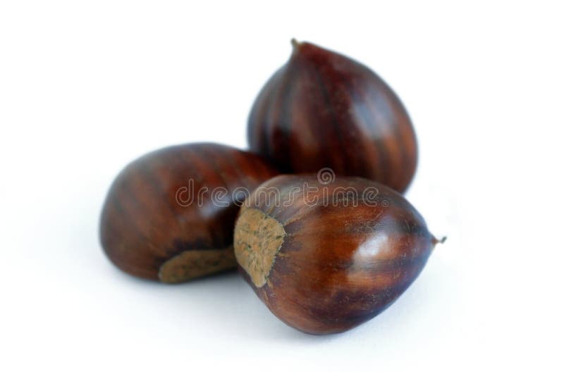 Conkers on string stock photo. Image of challenge, conquer - 10998876
