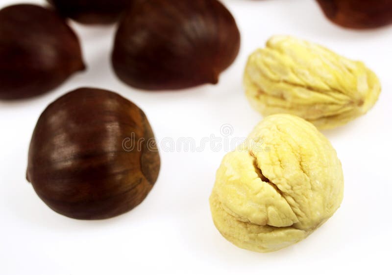 Chataigne stock image. Image of still, studio, life - 169897527