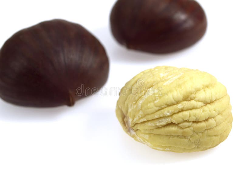 Chataigne stock photo. Image of chataigne, fruit, studio - 169897620