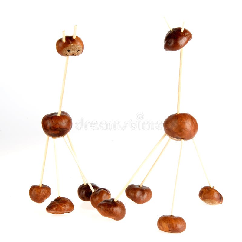 Chestnut-doll stock photo. Image of nature, doll, rind - 11482036