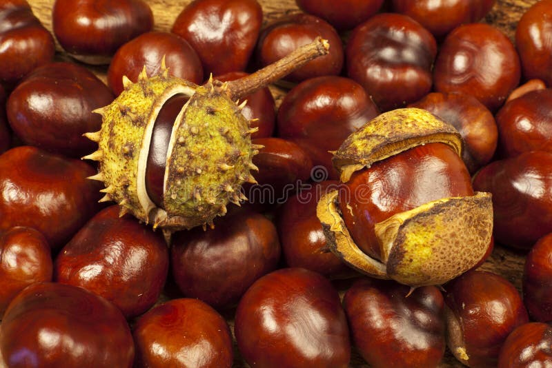 Chestnuts background stock photo. Image of natural, chestnut - 27106322