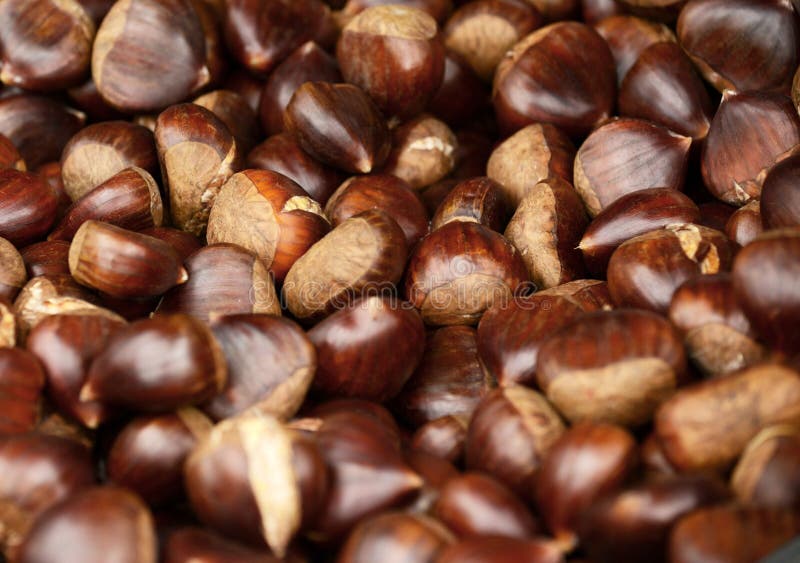 Chestnuts background stock image. Image of food, autumn - 56090509