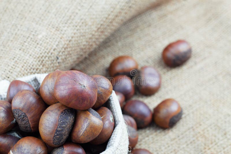 Chestnuts in a bag. stock photo. Image of food, antioxidant - 101459394