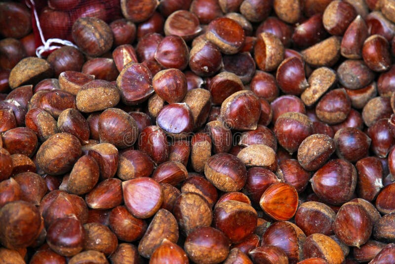 Chestnuts stock image. Image of food, maroon, bunch - 205781499