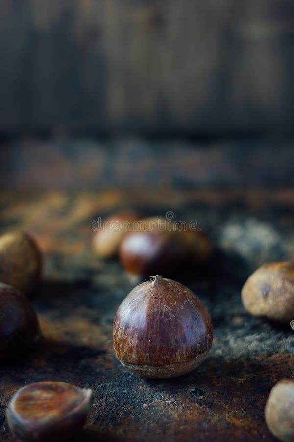 Chestnuts on black stock image. Image of tasty, skin - 101538431