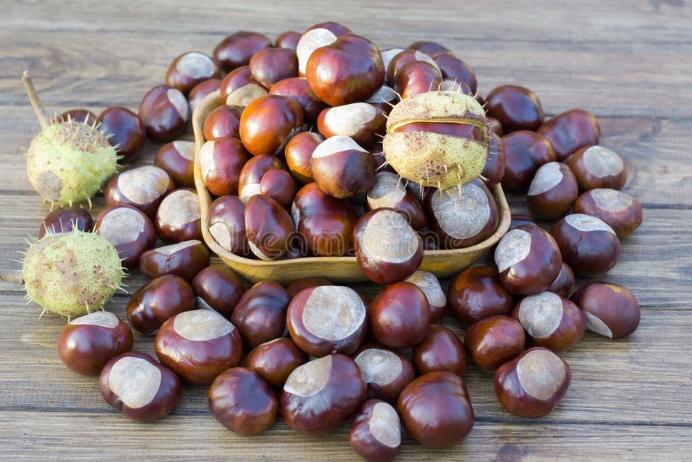 Chestnuts on the boards stock photo. Image of floor, plank - 44679870