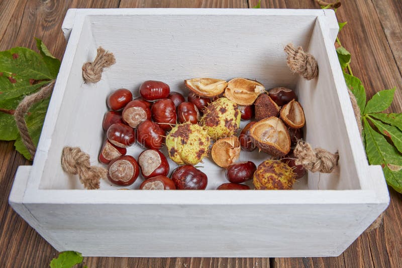 Chestnuts in a Box on a Table Stock Image - Image of white, chestnut ...