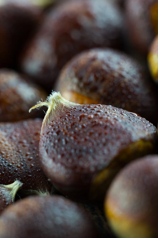 Chestnuts stock image. Image of skin, autumnal, vertical - 45659369