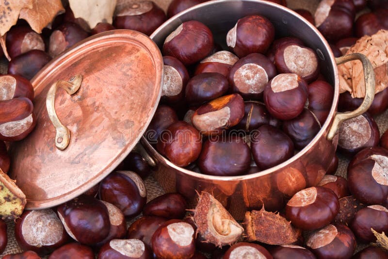 Chestnuts and Copper Kettle, Autumn Concept Image Stock Photo - Image ...