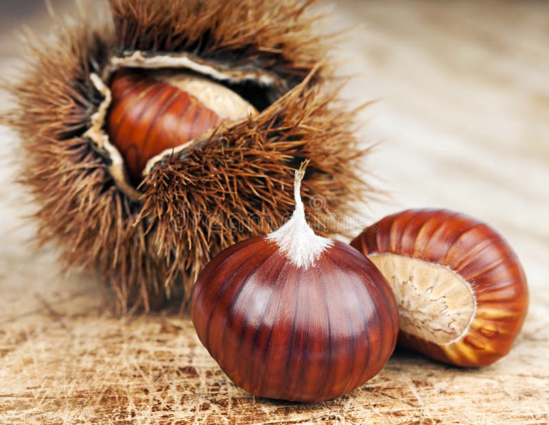 Sweet chestnuts stock photo. Image of colour, shot, chestnut - 27308964