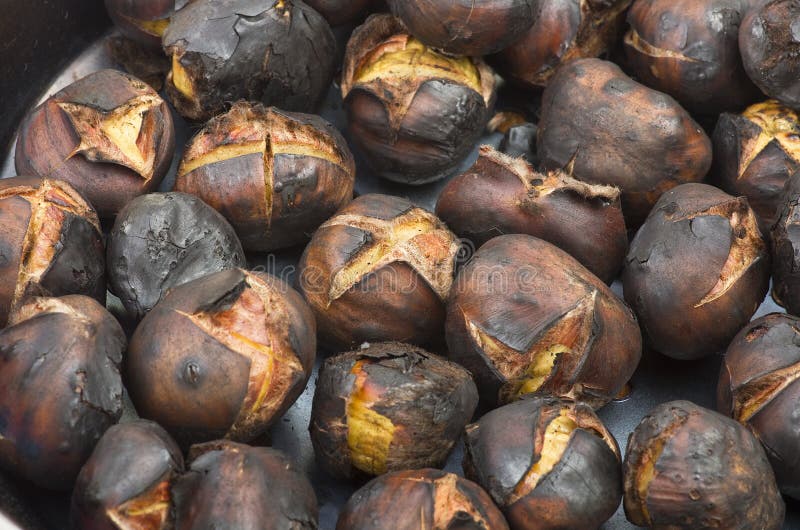 Chestnuts stock image. Image of autumn, warm, tasty, seed - 34730247