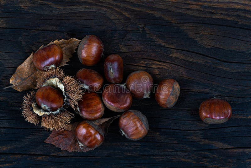 Chestnuts -Edible Autumn Fruit-ROAST FRUIT Stock Image - Image of ...