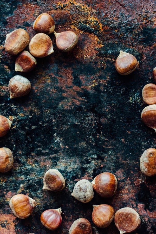 Chestnuts frame stock photo. Image of design, fall, hazel - 20988320