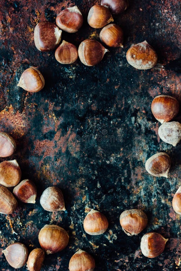 Chestnuts frame stock photo. Image of design, fall, hazel - 20988320