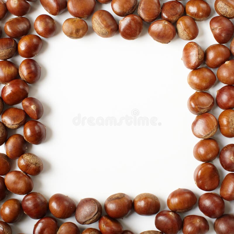Chestnuts frame stock photo. Image of nature, decoration - 35637218