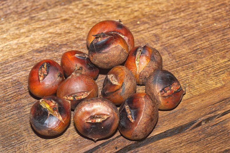 Chestnuts stock image. Image of christmas, autumn, grillacopy - 89090475