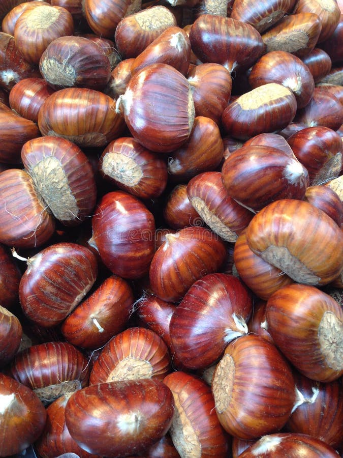 Chestnuts stock image. Image of chestnuts, health, healthy - 83347315