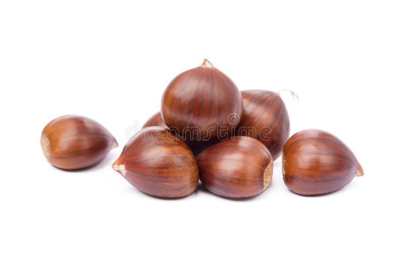Chestnuts Isolated on White Background Stock Photo - Image of ...