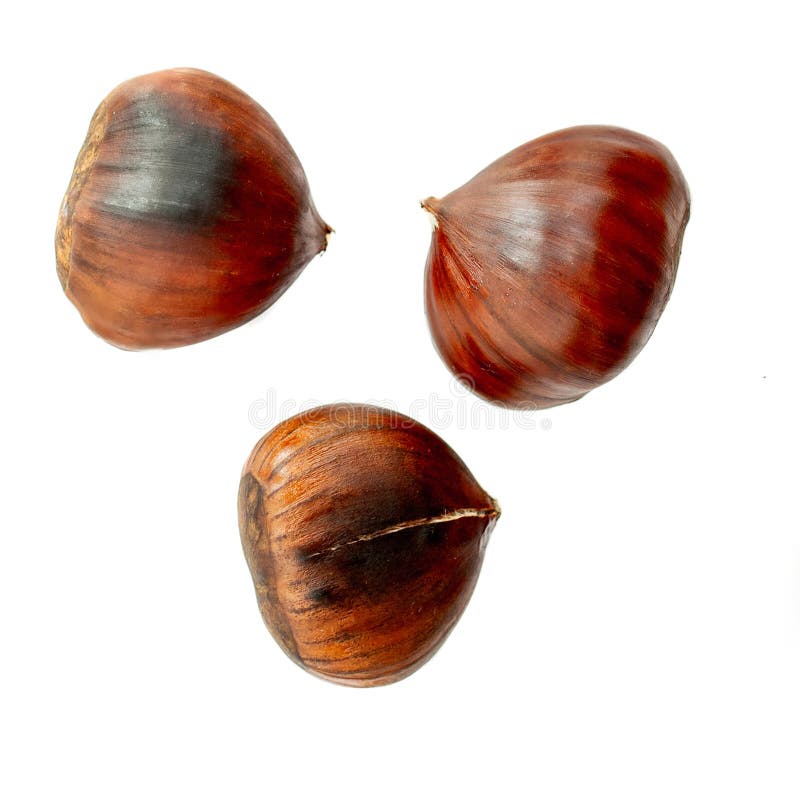 Chestnuts Isolated on White Background. Various Roasted Sweet Chestnuts ...