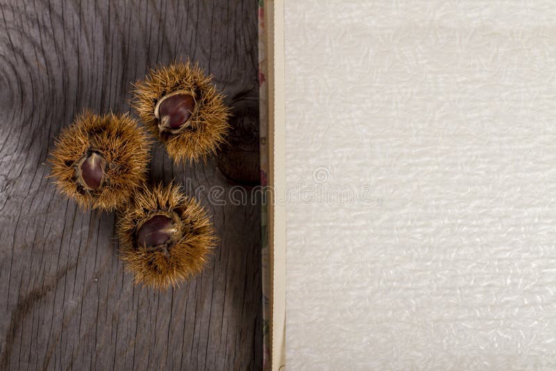 Chestnuts and open Book stock image. Image of kitchen - 50576191