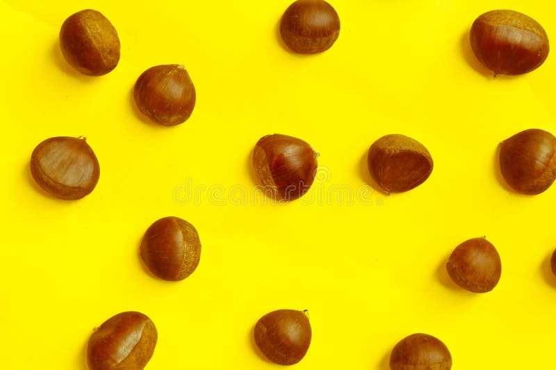 Chestnuts Pattern on Yellow Background Top View Chestnut Stock Image ...