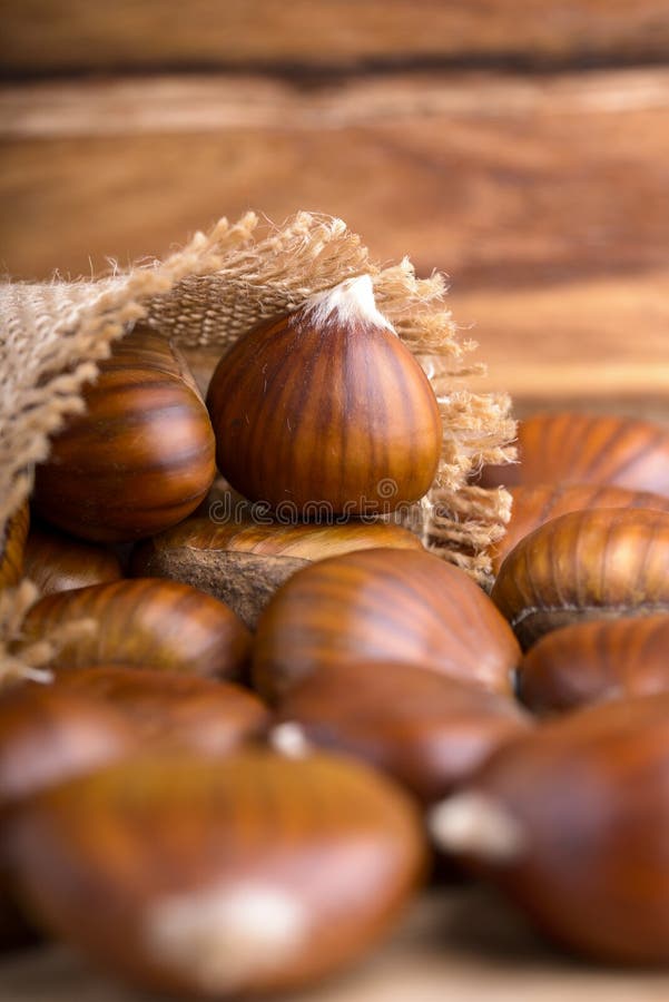 Chestnuts stock image. Image of wood, nature, jute, edible - 76880767