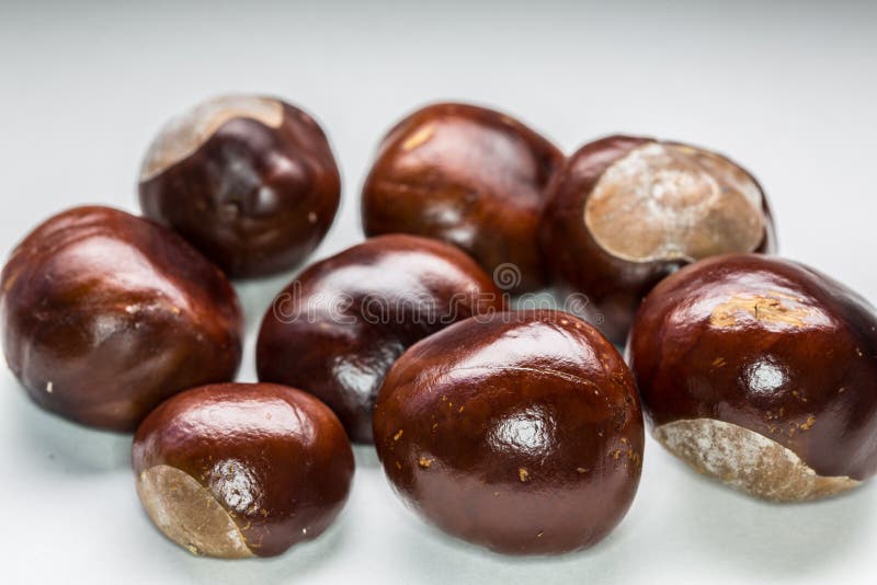 Chestnuts with a Shiny Brown Shell Stock Image - Image of pericarp ...