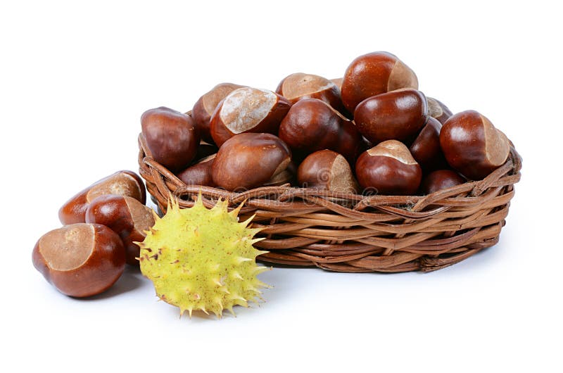 Chestnuts in Small Basket on White Stock Image - Image of colorful ...